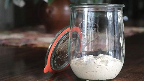 Revive Dried Sourdough Starter Tips And Tricks To Bring Back Your