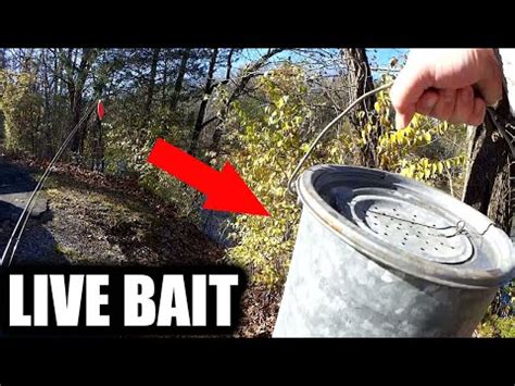 Early Winter Fishing From Shore Realistic Fishing
