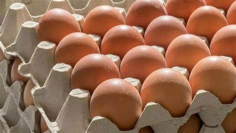 Por qué se cree que el huevo marrón es más nutritivo que el blanco