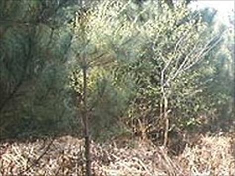 BBC Rendlesham Revealed New Evidence In UFO Mystery
