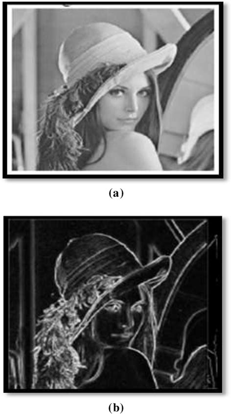 figure 1 from a survey on relevant edge detection technique for medical image processing
