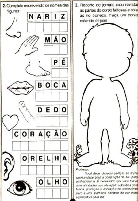 Corpo Humano Para Ano Imprimir E Colorir Mistura De Alegria