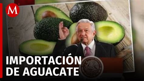 AMLO pide a SRE resolver suspensión de EU a importación de aguacate