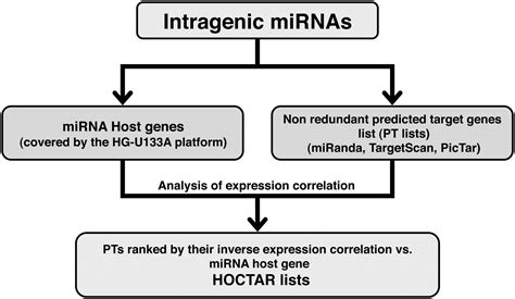 microrna target prediction by expression analysis of host genes