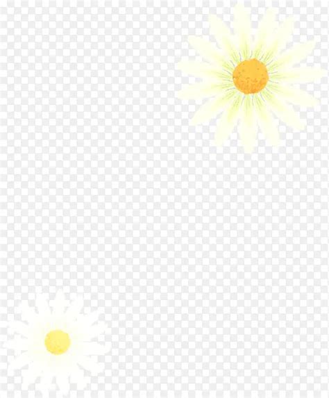 手绘白色梦幻小花PNG图片素材下载 图片编号qemxxarw 免抠素材网