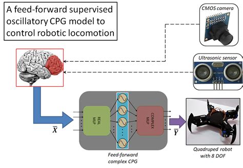 oscillatory neural networks computational neuroscience lab iit madras