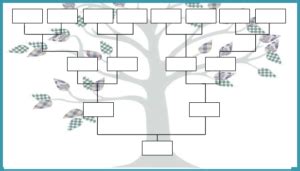 50 plantillas de árbol genealógico para imprimir y rellenar 2024