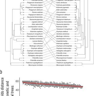 Comparison Of Species Relationships Derived From Genetic Versus