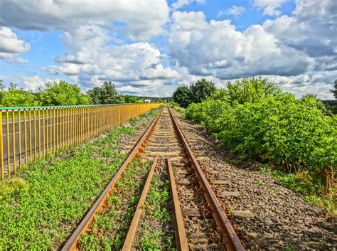 Free Images Track Railway Railroad Traffic Field Flower