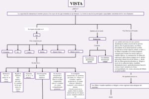 Mapas conceptuales Materia y su Clasificación Descargar