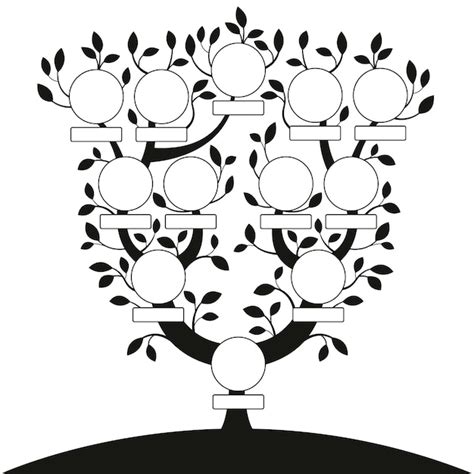 Silueta De Rbol Geneal Gico Dibujado A Mano Vector Gratis 13395 The