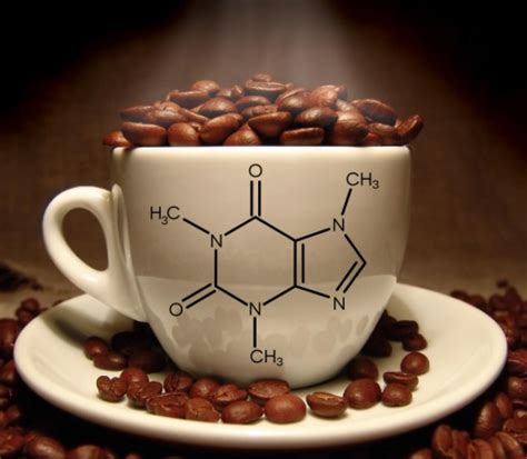 Unlocking Coffee S Chemical Composition Part 2 Coffeechemistry