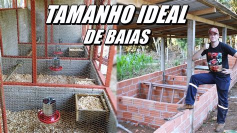 QUAL O TAMANHO IDEAL PARA UMA BAIA DE GALINHAS AVES ORNAMENTAIS YouTube