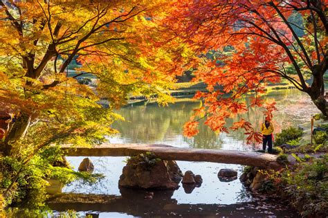 10 Best Places To See Changing Autumn Leaves In Tokyo Fall Foliage