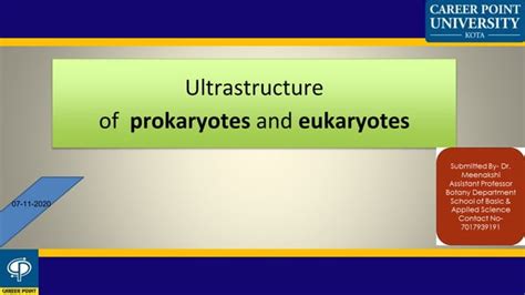 3 Ultrastructure Of Prokaryotes PPT