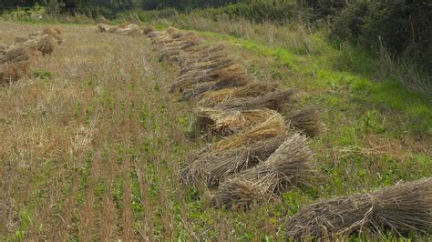 Stooks JohnFromX Flickr