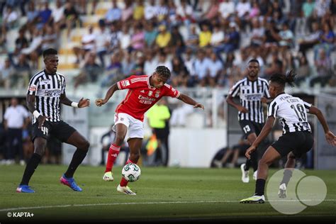 Liga Portugal Betclic Portimonense X Benfica Fotos Zerozero Pt