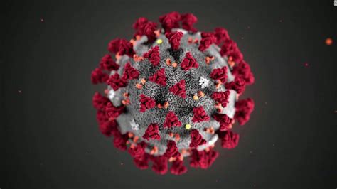 April 2 2020 Coronavirus News