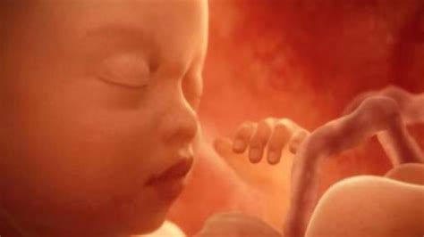 Tìm hiểu hình ảnh thai nhi 33 tuần trong bụng mẹ như thế nào