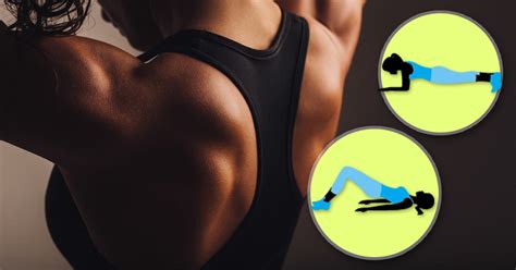 6 Ejercicios Para Tener Una Espalda Fuerte Y Atractiva Bioguia