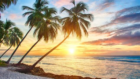 Tropical Wallpapers Wallpaper Cave