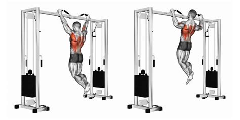 I Migliori Esercizi Per Aumentare La Massa Muscolare FdS