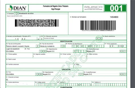Así puede actualizar o sacar el RUT por internet gratis