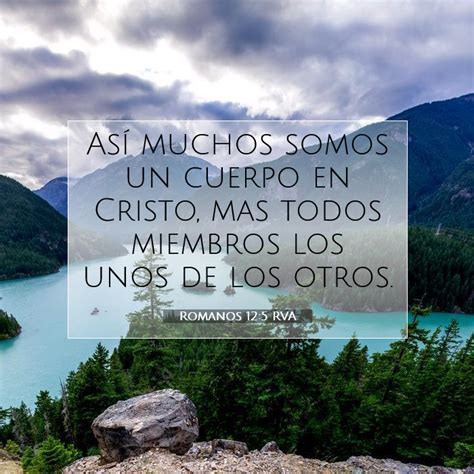 Romanos 12 5 RVA Así muchos somos un cuerpo en Cristo mas todos