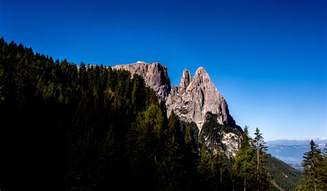 Fond d écran la nature paysage bleu ciel forêt des arbres