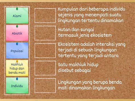 Ekosistem Match Up