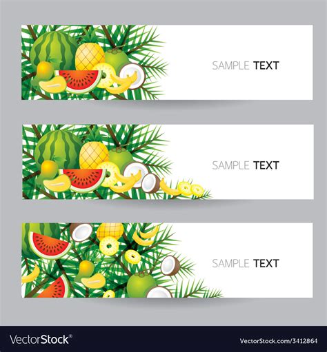 Mixed Tropical Fruits Banner Royalty Free Vector Image