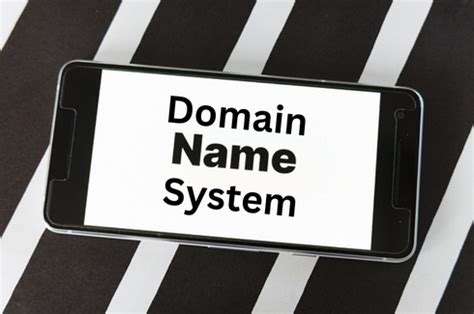 How The Domain Name System Is Maintained SeekaHost India