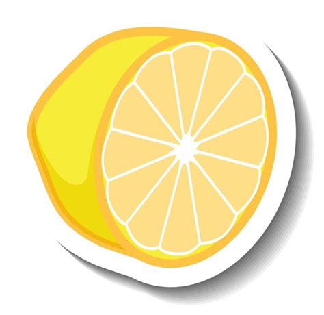 Watercolor Lemon Slice Hand Drawn Botanical Illustration Of Clip Art