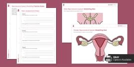 Human Reproduction Display Posters Teacher Made Twinkl