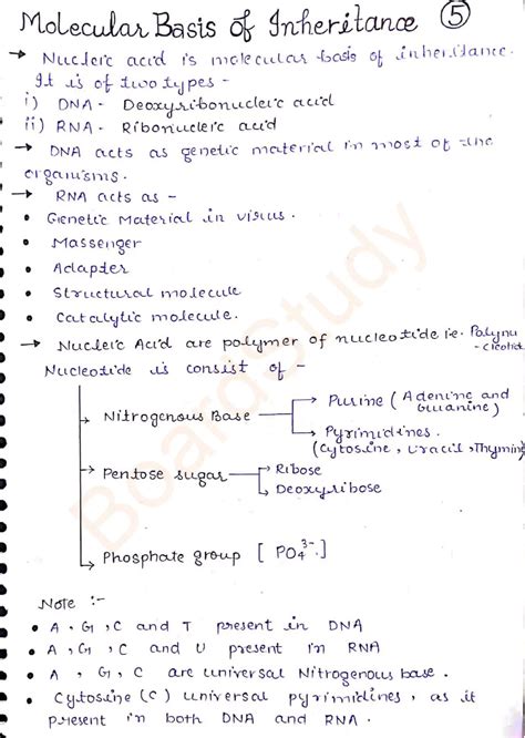 Ncert Class Biology Chapter Molecular Basis Of Inheritance Notes