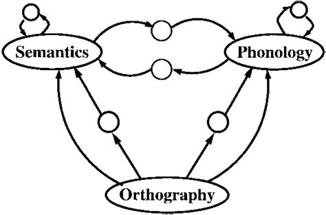 the implemented reading model the semantics phonology component was download scientific