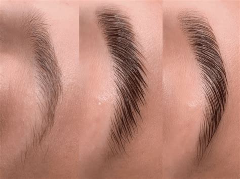 O Que É Brow Lamination Tudo Sobre a Técnica Blog Oscar