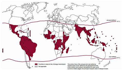 G1 Risco de dengue cresce por mudança climática e urbanização diz