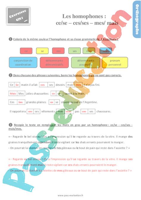 Bilan Sur Les Homophones Ce Se Ces Ses Mais Mes Au Cm1
