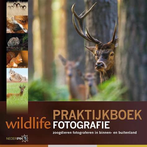7 Mooie Boeken Voor Natuurliefhebbers Wildlifereizen