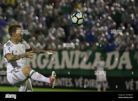 SC Chapeco 20 05 2017 Brasileiro A 2017 Chapecoense X Palmeiras
