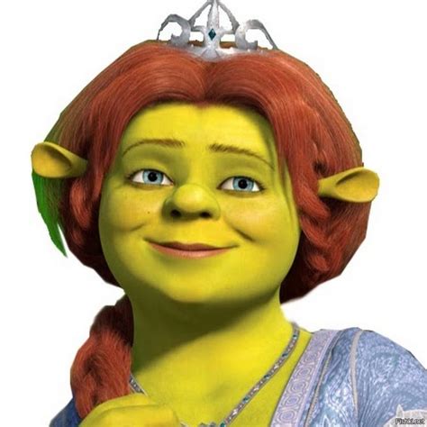 D21Sat1 Hair Qualities Baamboozle Baamboozle The Most Fun