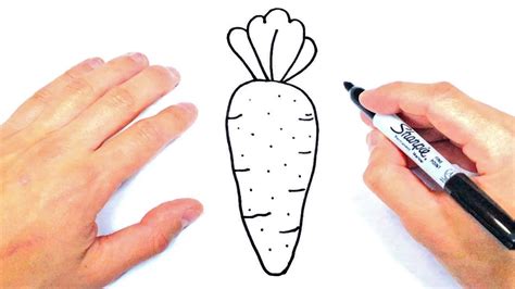 Paso A Paso Para Dibujar Una Zanahoria Tutorial De Dibujo De Una The