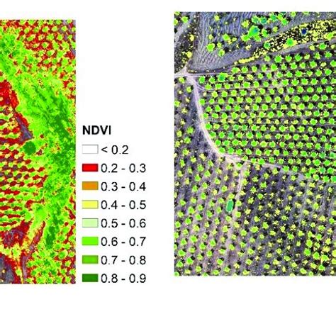 A Normalized Difference Vegetation Index NDVI And B Tree Heights