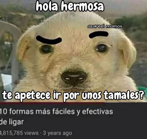 Total Imagen Hola Hermosa Meme Abzlocal Mx