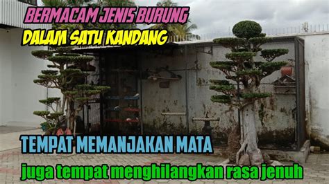 Kandang Bermacam Jenis Burung Ini Tempat Memanjakan Mata Aba Awan