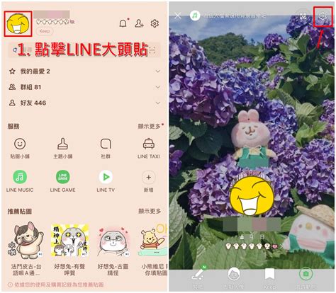 Line