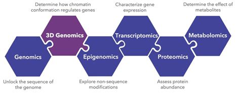 How D Genomics Can Strengthen Your Multi Omics Approach To Scientific