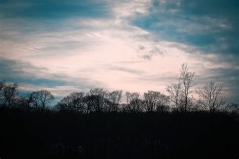 Fotos gratis paisaje árbol naturaleza bosque césped rama