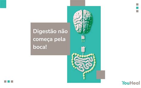 A digestão não começa pela boca Clínica You Heal